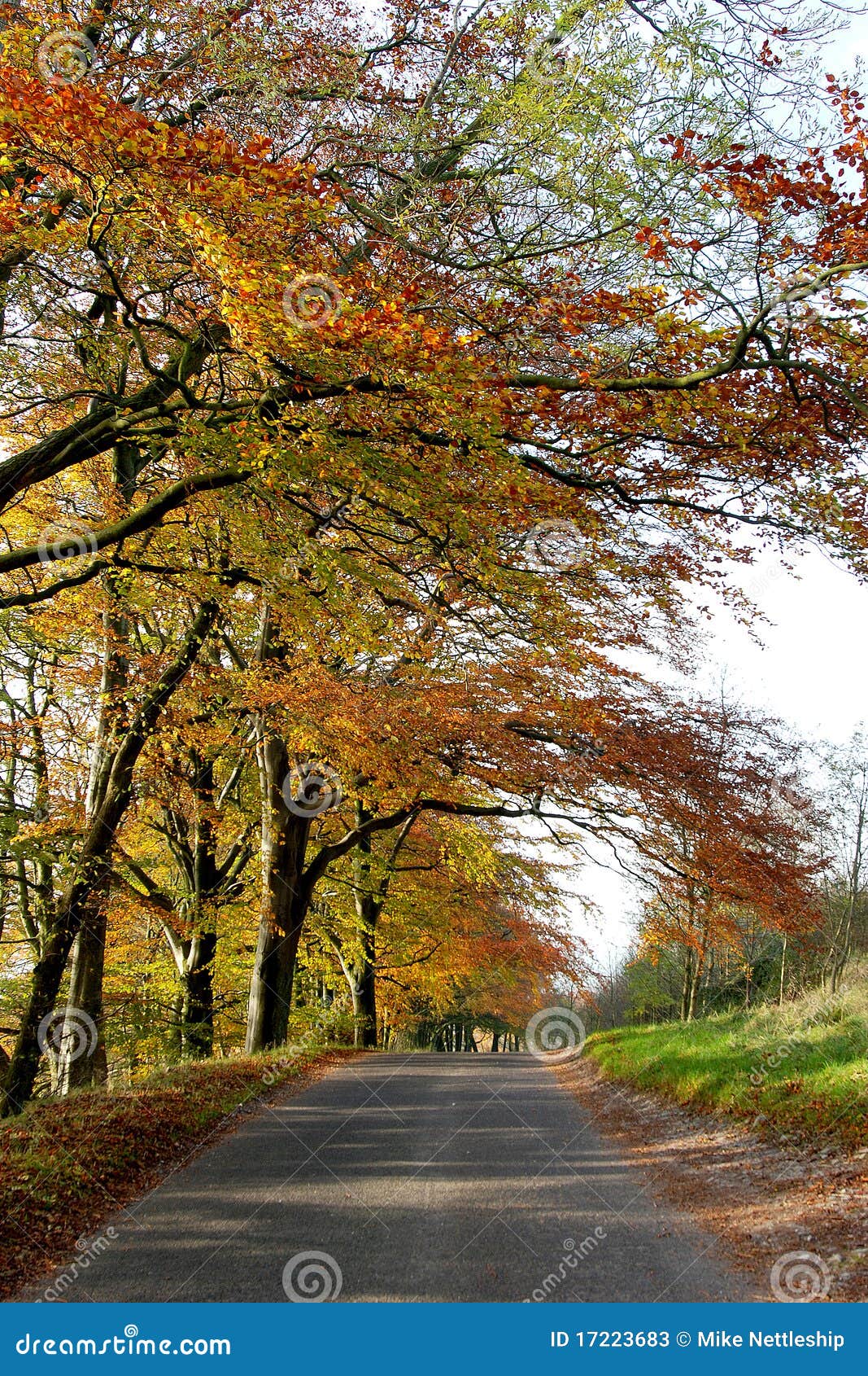 Autumn scene stock image. Image of countryside, scenery - 17223683