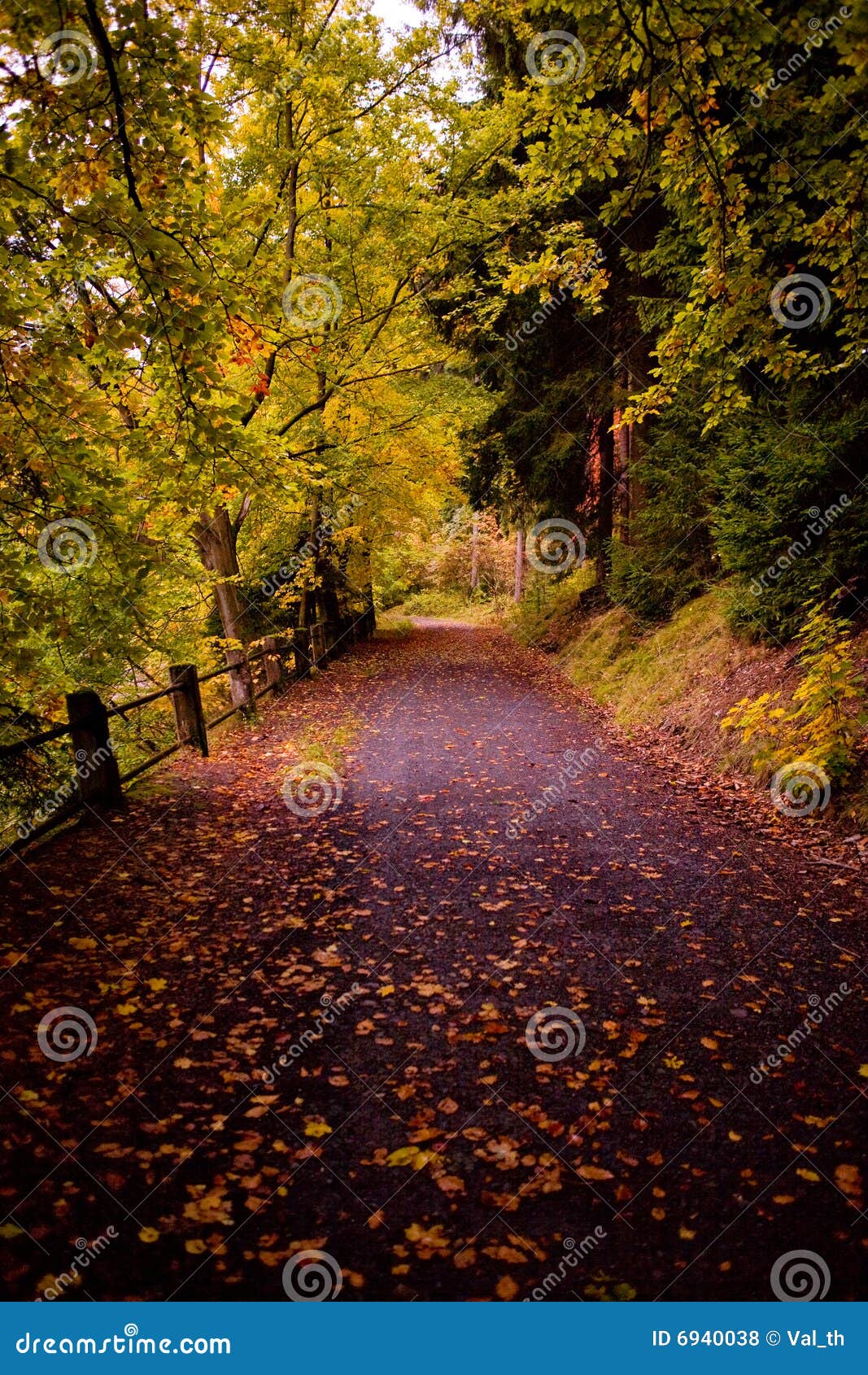 Autumn scene 4 stock photo. Image of fall, park, leaf - 6940038