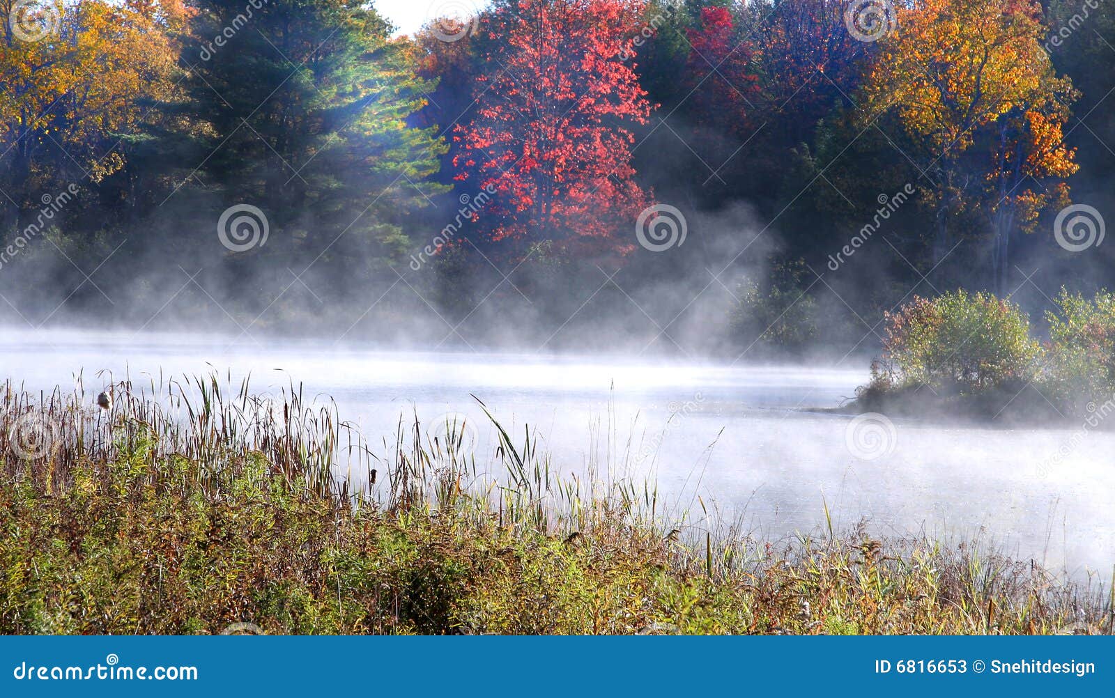 Autumn Scene stock image. Image of scenic, october, environment - 6816653