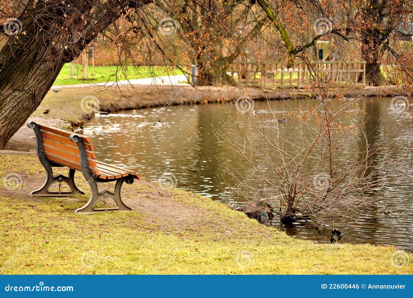 Autumn Scene with Fall Atmosphere Stock Photo - Image of lonely ...