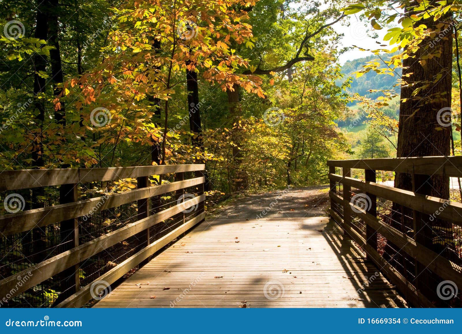 Autumn Scene from a Foot Bridge Stock Photo - Image of green, colorful ...