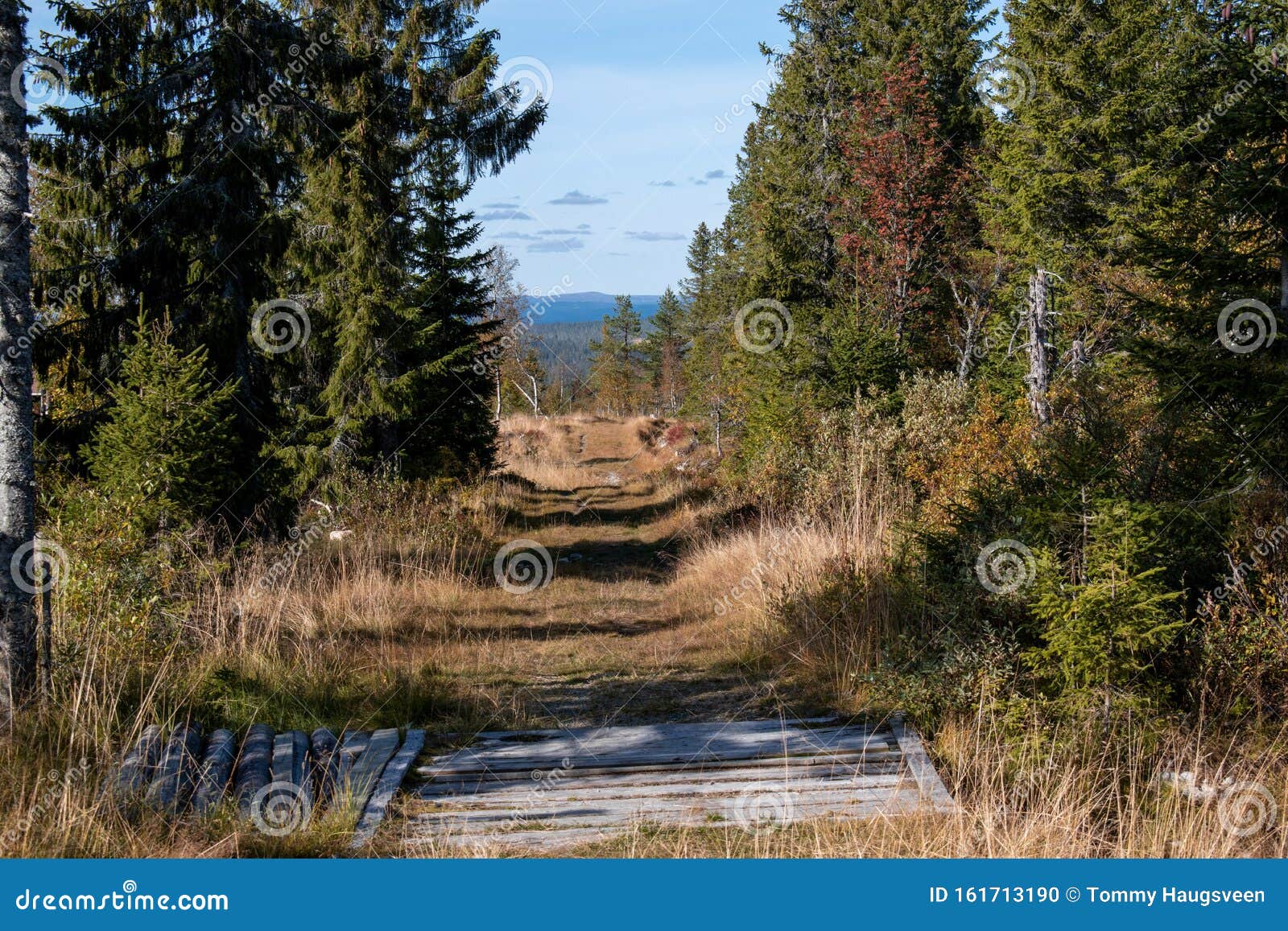 Autumn Scene on Hedmarksvidda in Hedmark County Norway Stock Photo ...