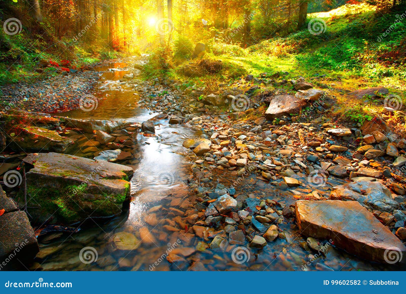 Autumn. Mountain Spring, Forest Landscape Stock Photo - Image of europe ...