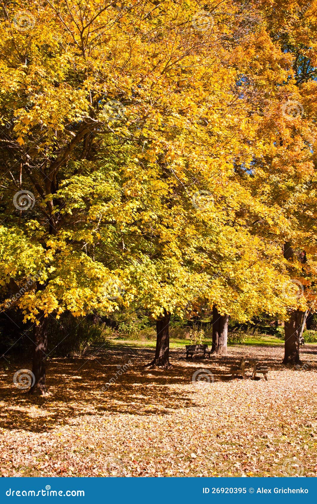Autumn Scene in the Mountains Stock Image - Image of autumn, landscapes ...