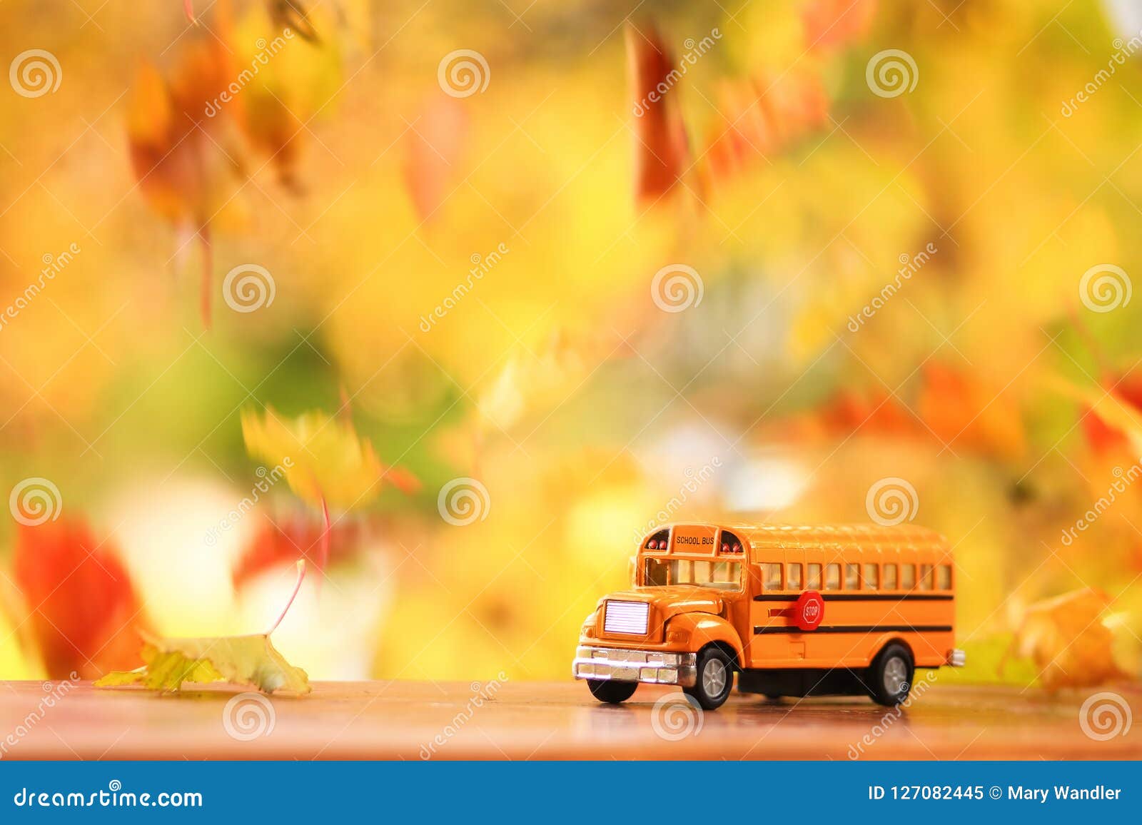 Orange School Bus Surounded by Falling Leaves Stock Image - Image of ...