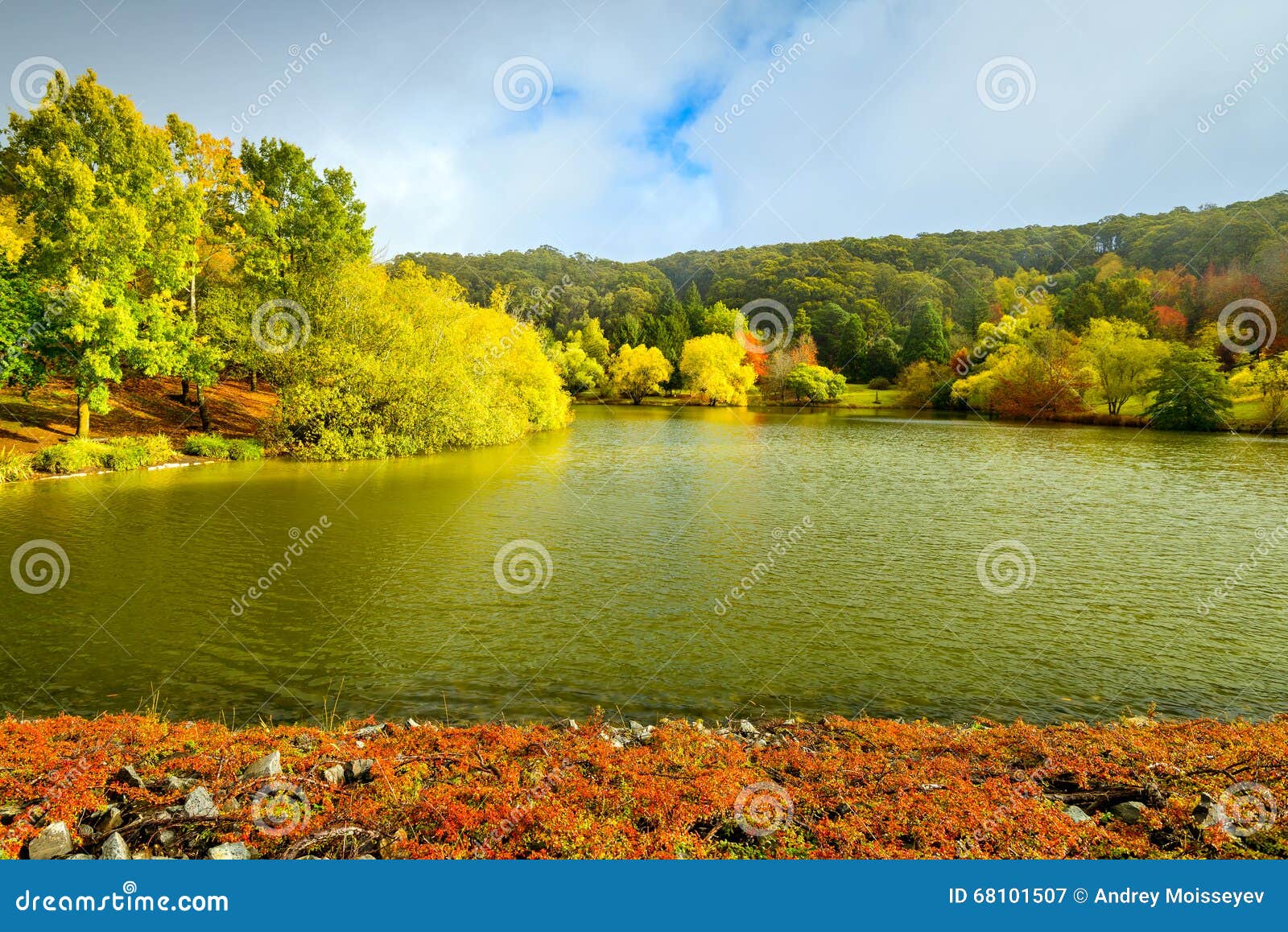 Autumn scene by the pond stock image. Image of landscape - 68101507