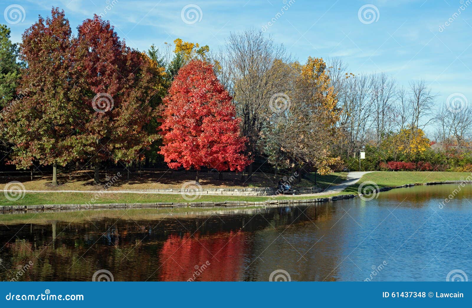 Autumn Scene with Pond stock photo. Image of country - 61437348