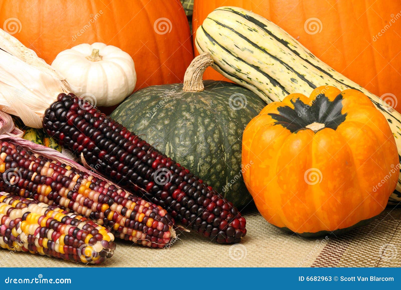 Autumn Scene with Pumpkins, Corn and Squash Stock Image - Image of ...