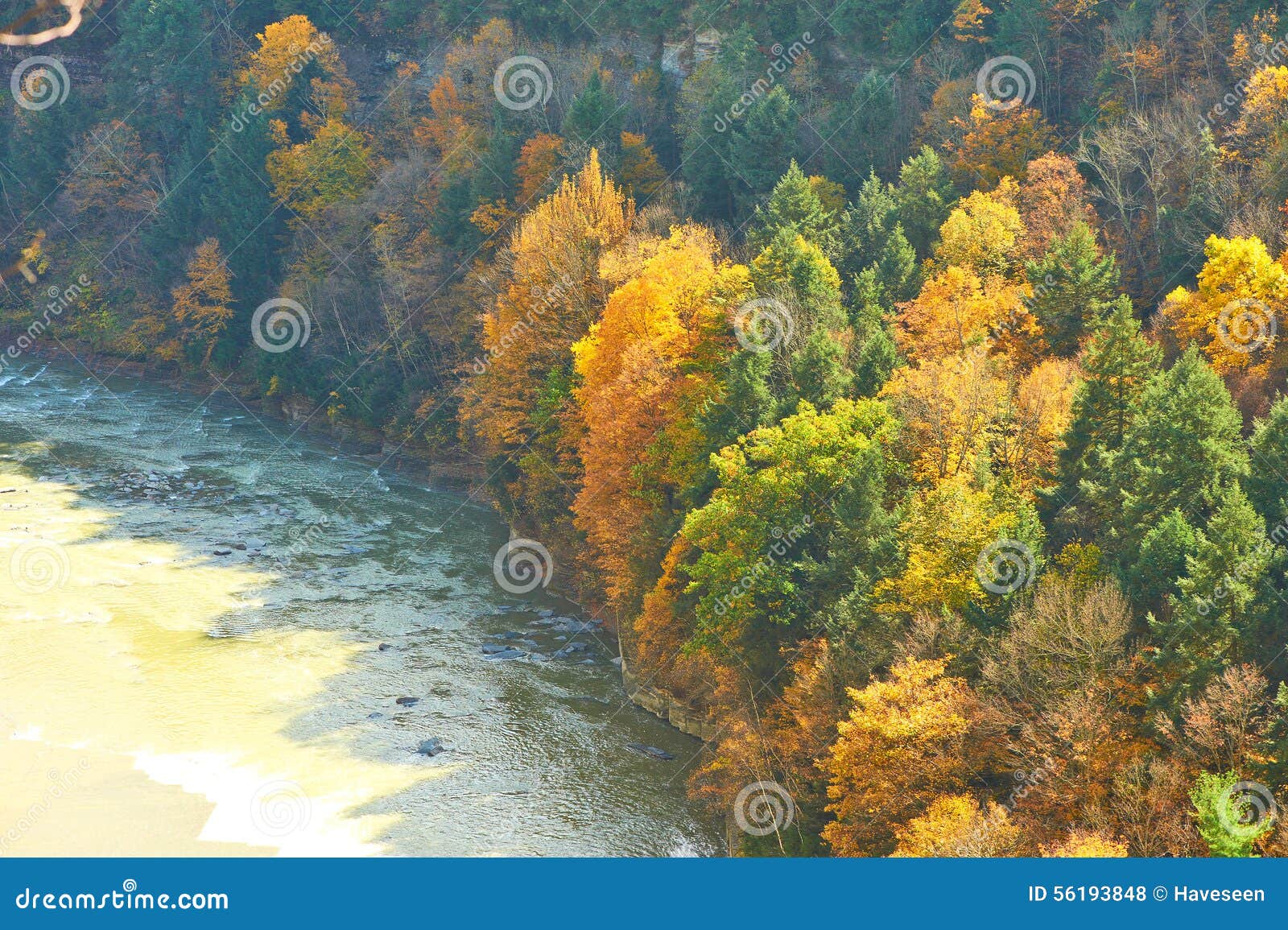 Autumn Scene of River and Forest Stock Photo - Image of waterfall, tree ...