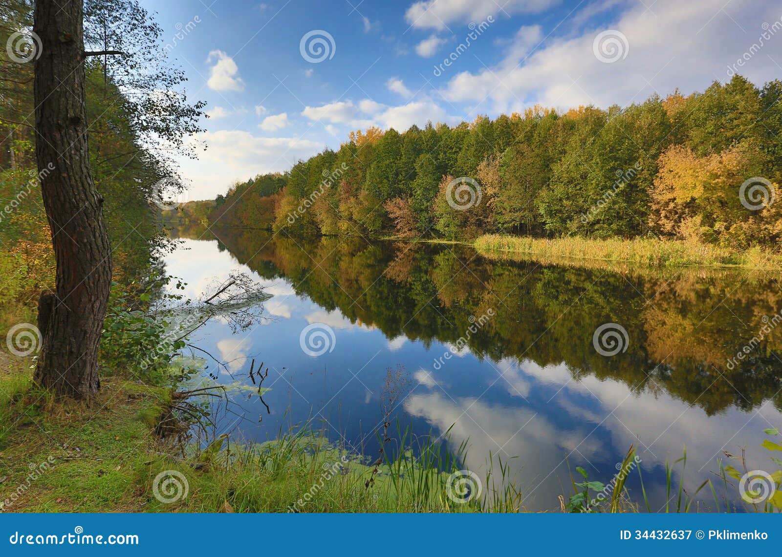 Autumn scene on river stock image. Image of orange, flora - 34432637