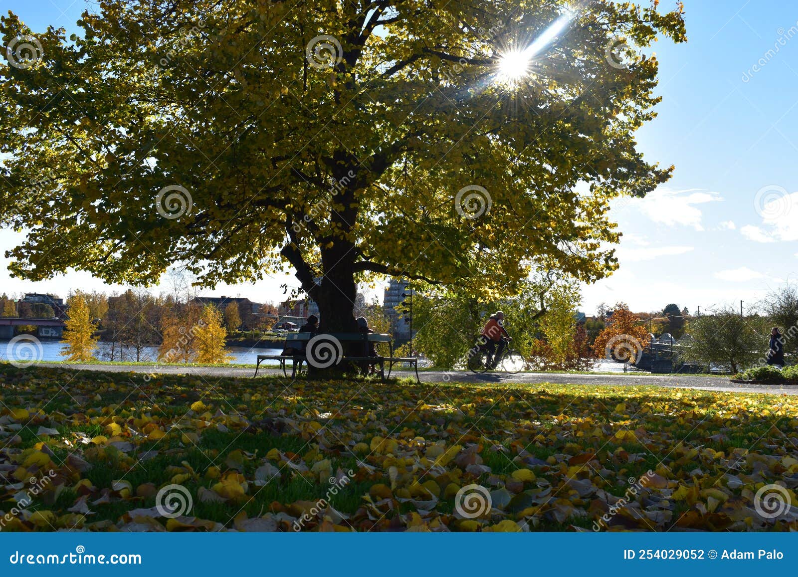 Autumn Scene by the River in Umea Stock Photo - Image of sweden ...