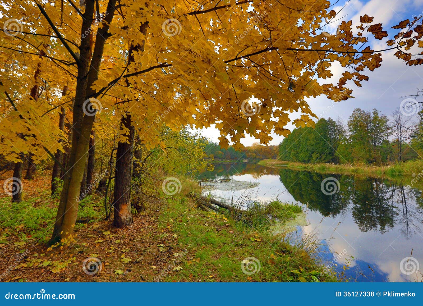 Autumn scene on river stock photo. Image of gold, tranquil - 36127338