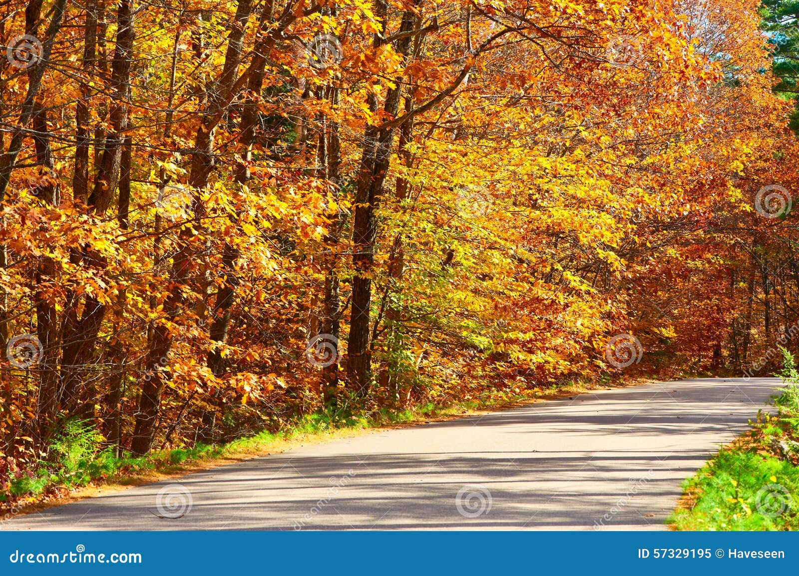 Autumn scene with road stock image. Image of speed, season - 57329195