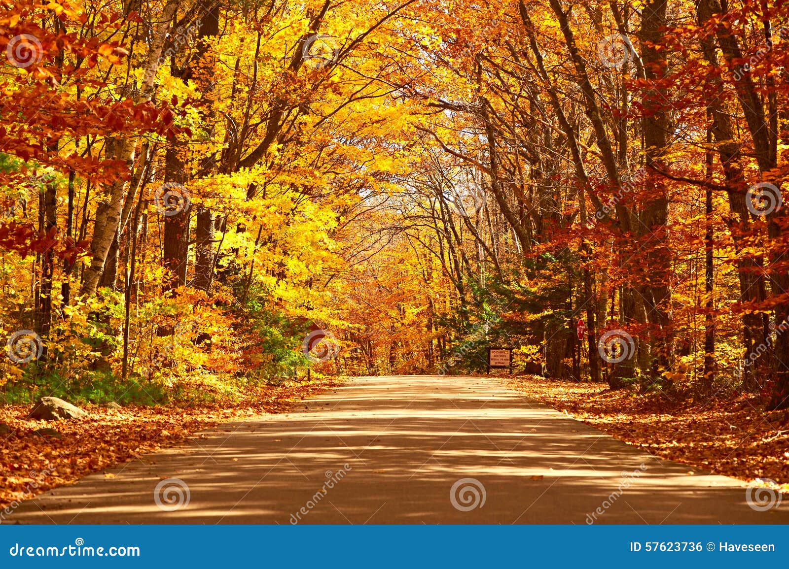 Autumn scene with road stock photo. Image of foliage - 57623736