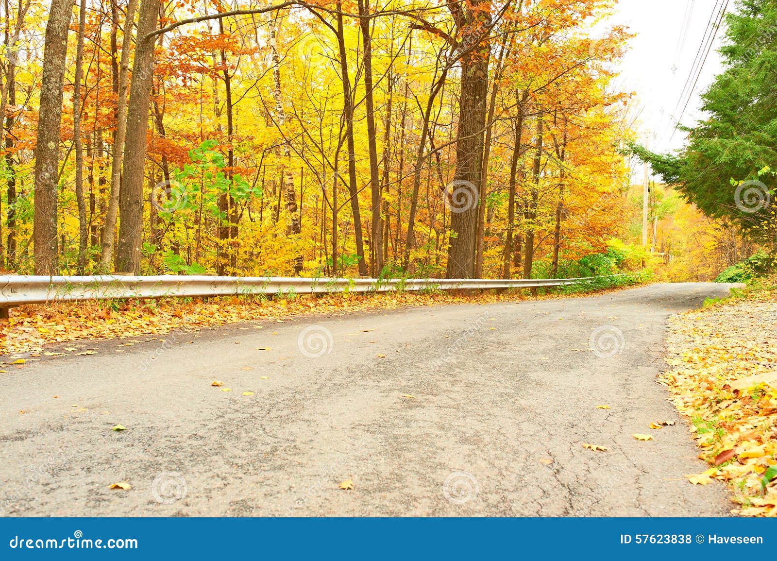 Autumn scene with road stock photo. Image of beauty, route - 57623838
