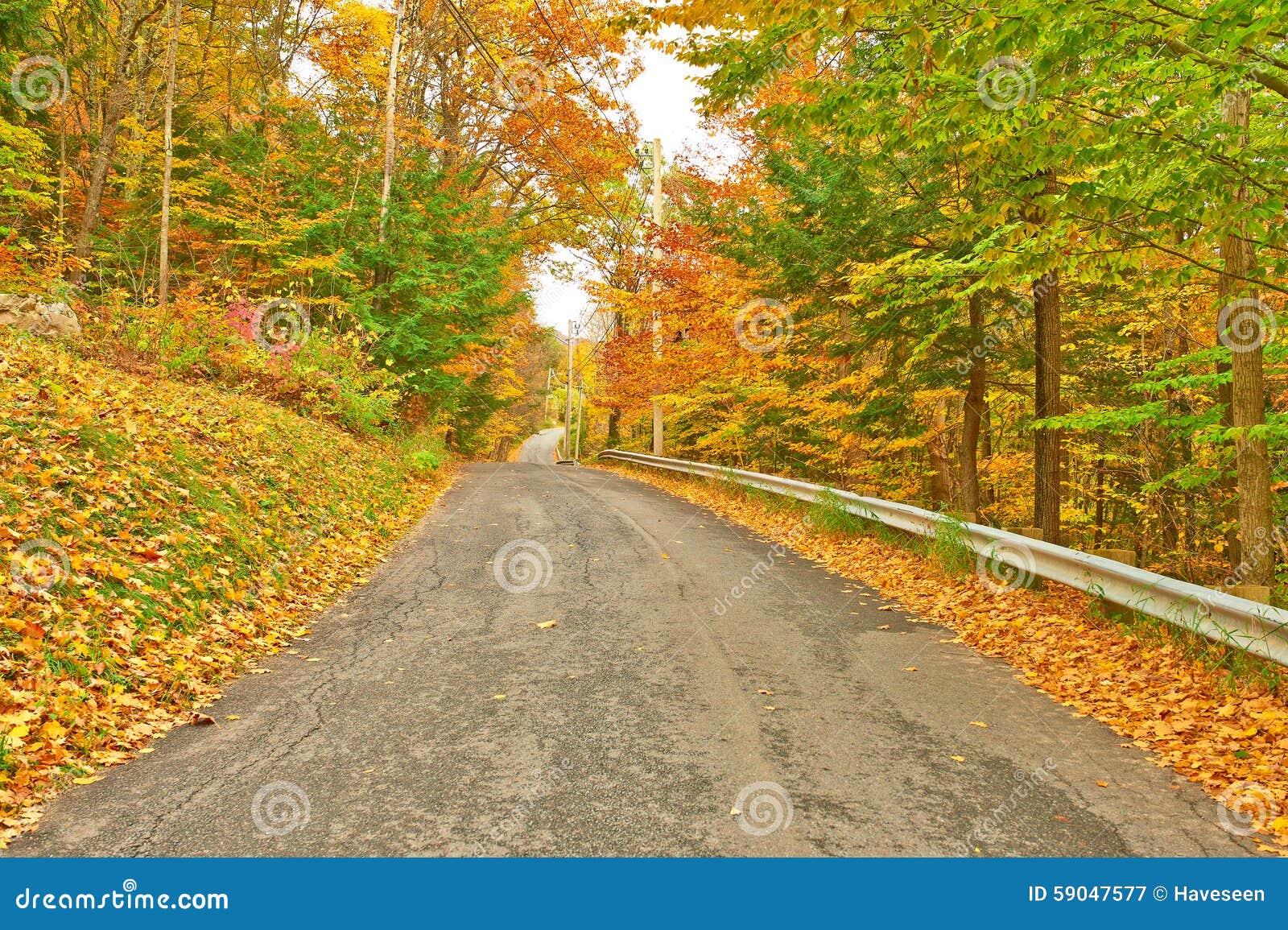 Autumn scene with road stock image. Image of fall, scenic - 59047577