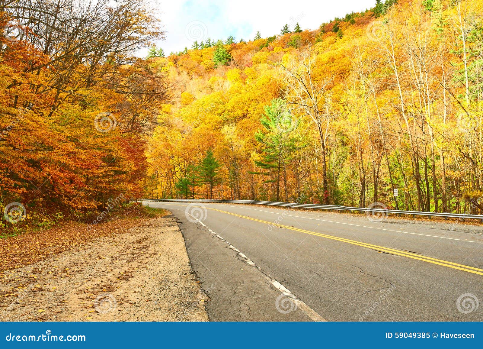 Autumn scene with road stock image. Image of drive, golden - 59049385