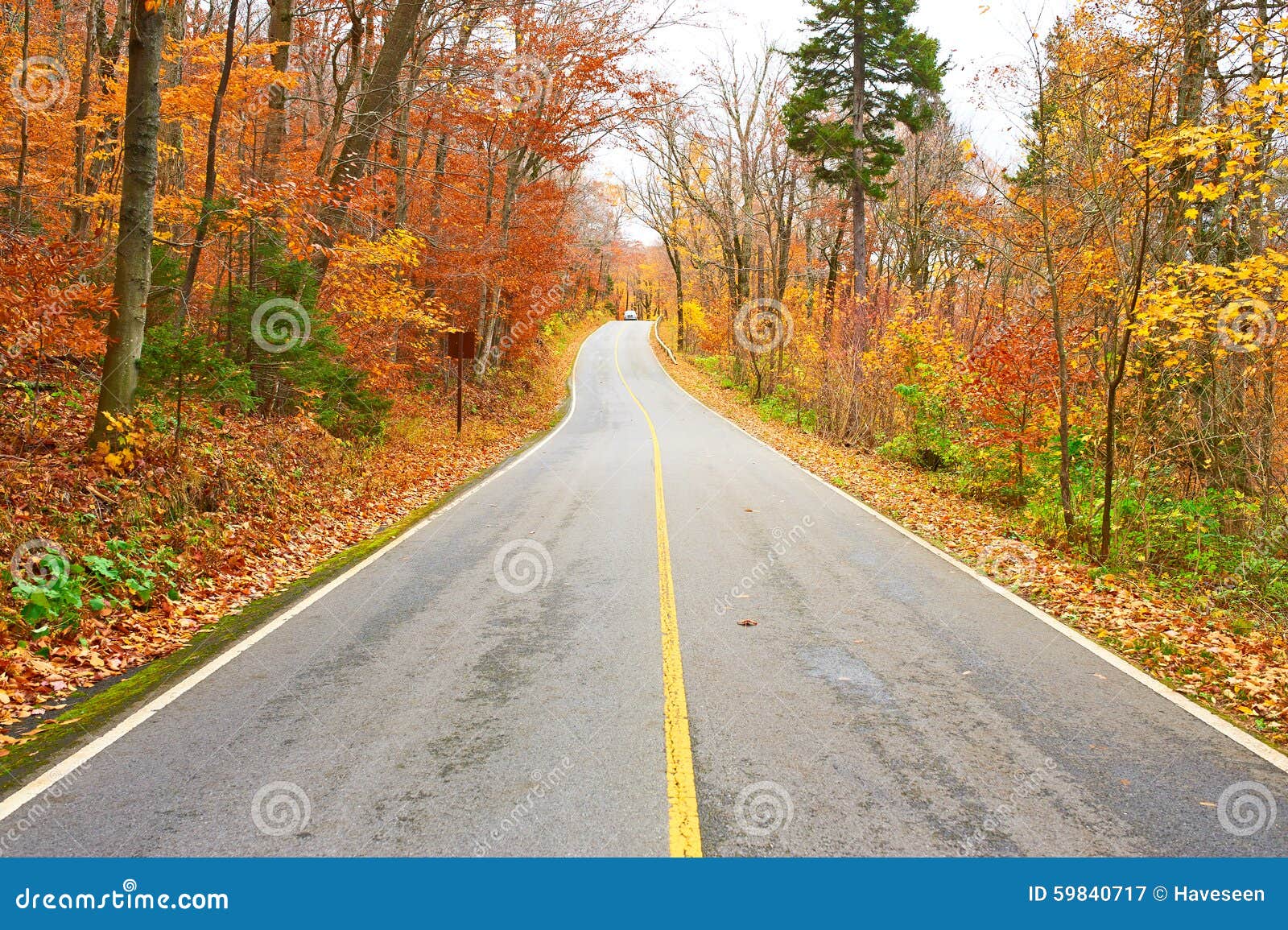 Autumn scene with road stock image. Image of scene, park - 59840717