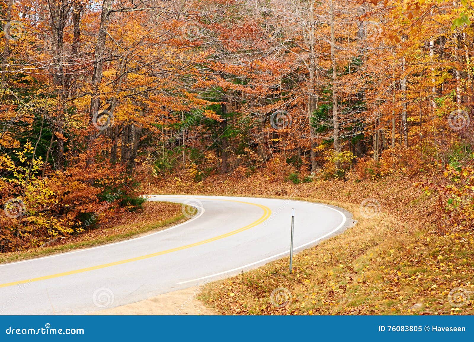 Autumn scene with road stock image. Image of freeway - 76083805