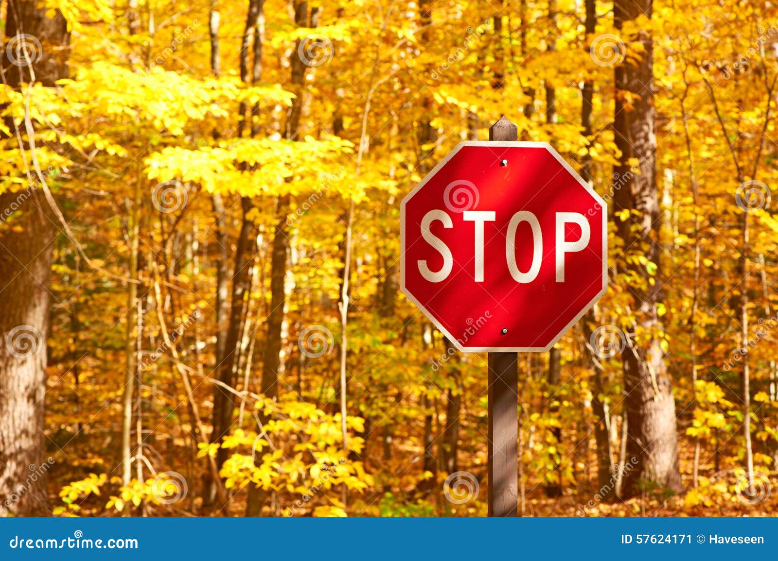 Autumn Scene with Road and Stop Sign Stock Image - Image of curvy, stop ...
