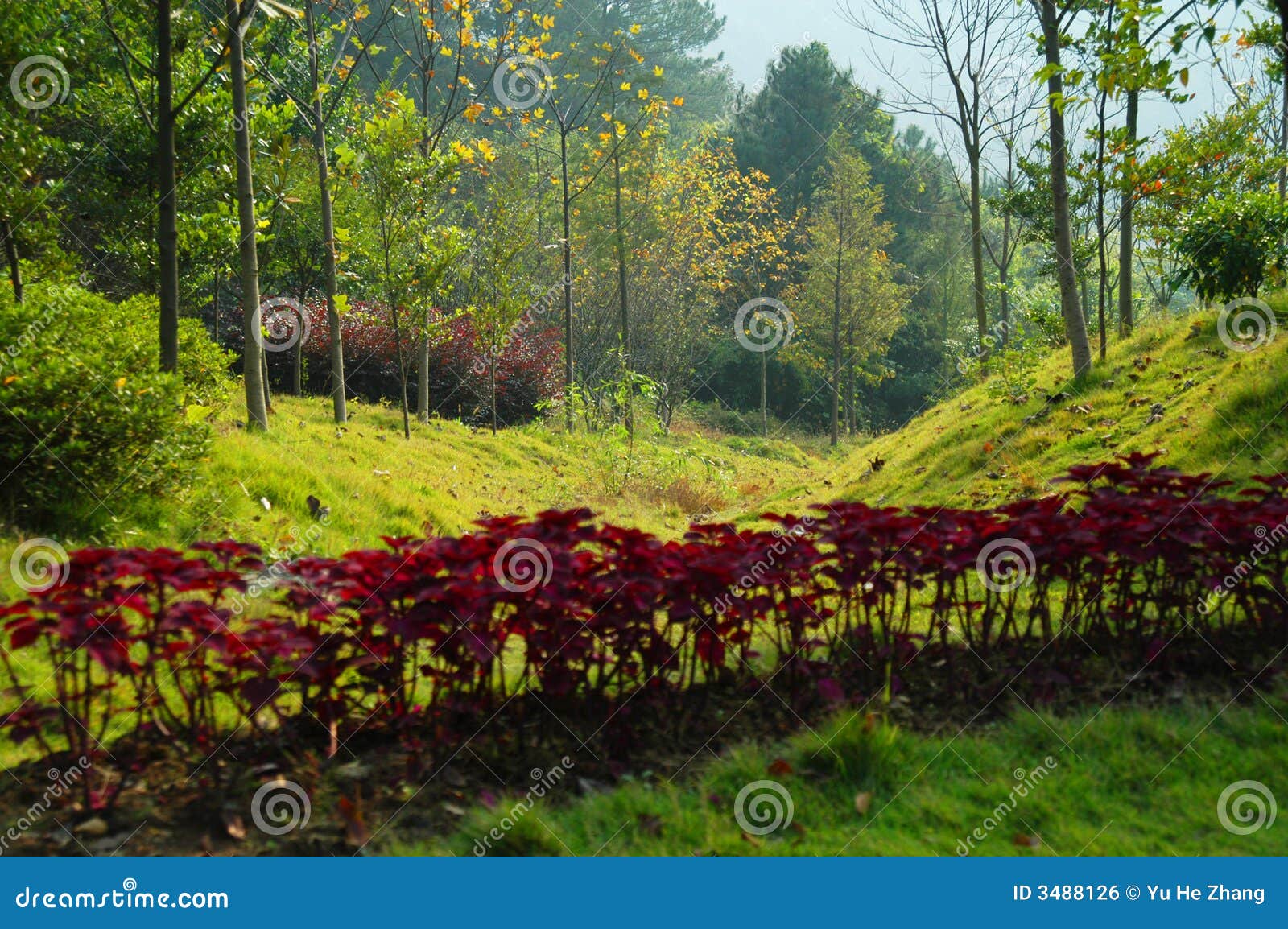 Autumn Scene in Southern China Stock Photo - Image of landscape ...