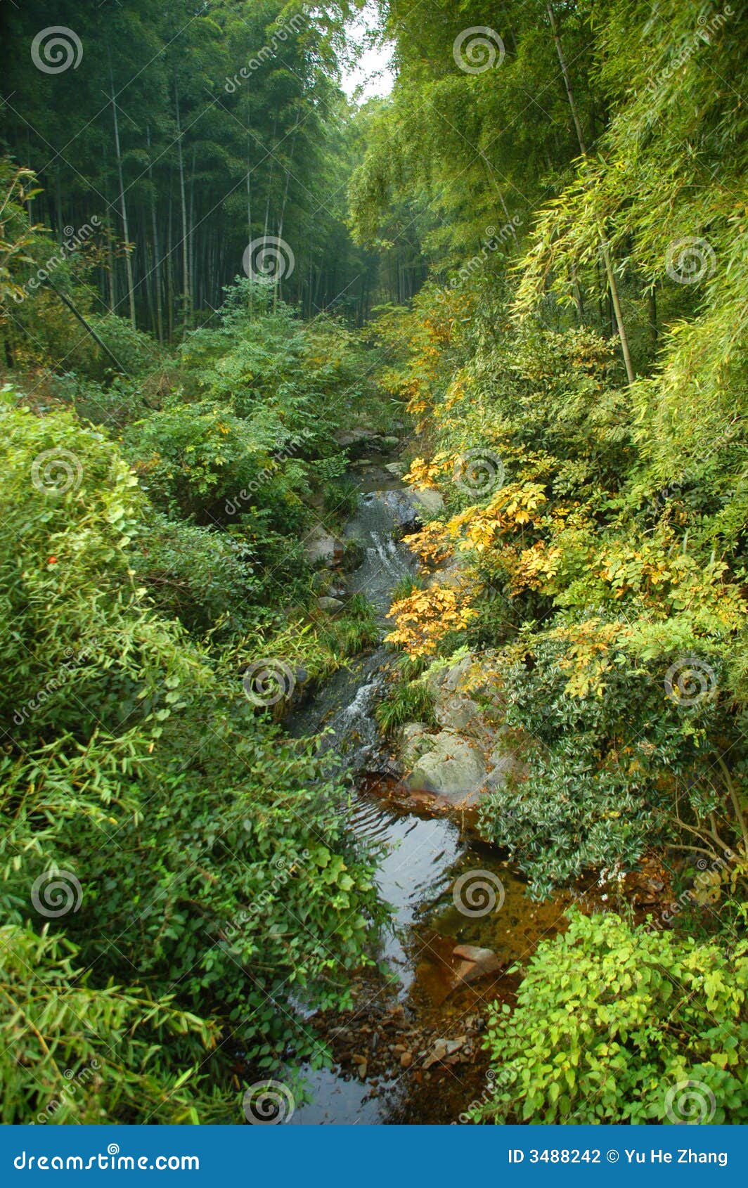 Autumn Scene in Southern China Stock Photo - Image of lake, fall: 3488242