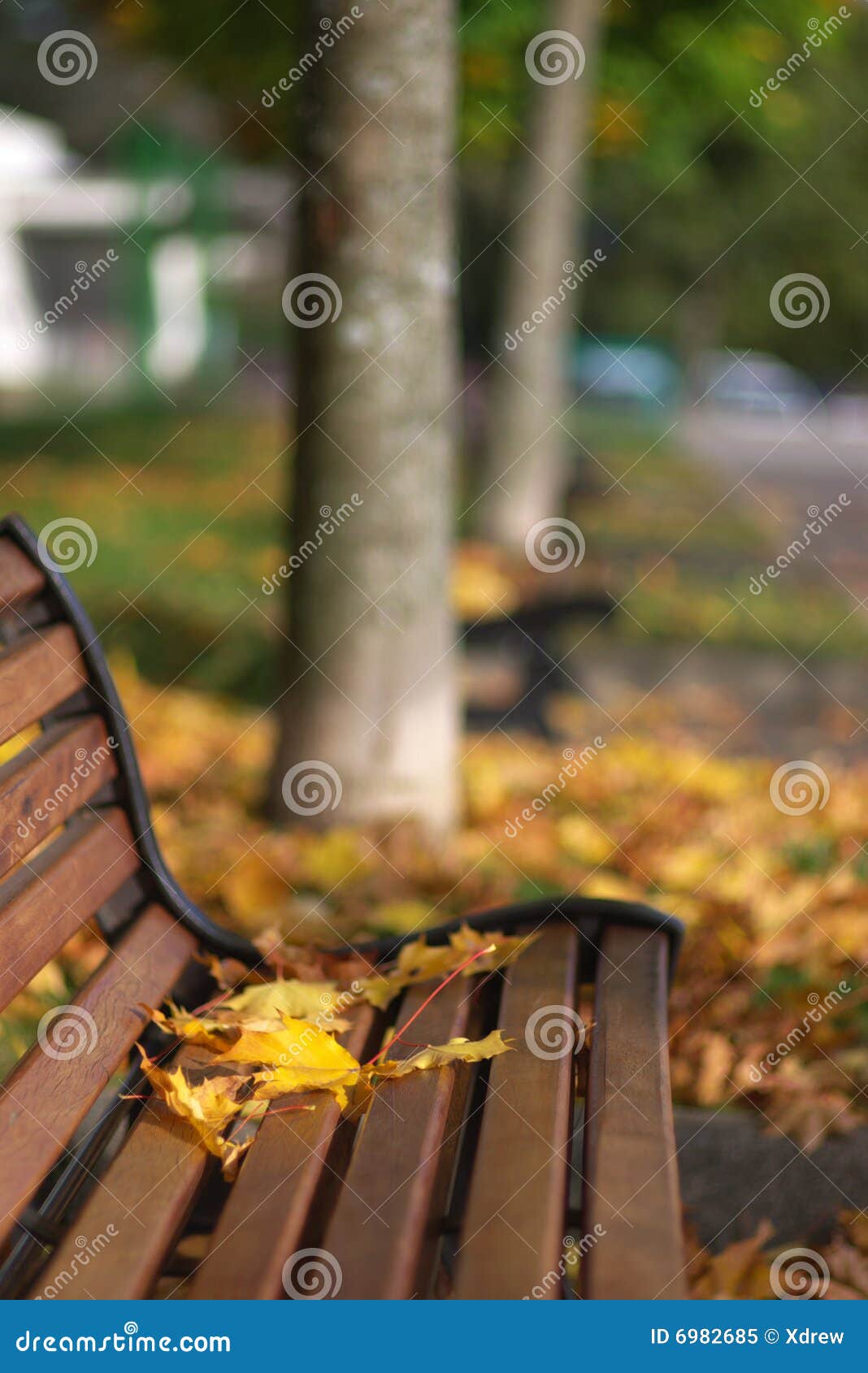 Autumn scene in town stock image. Image of highlighted - 6982685