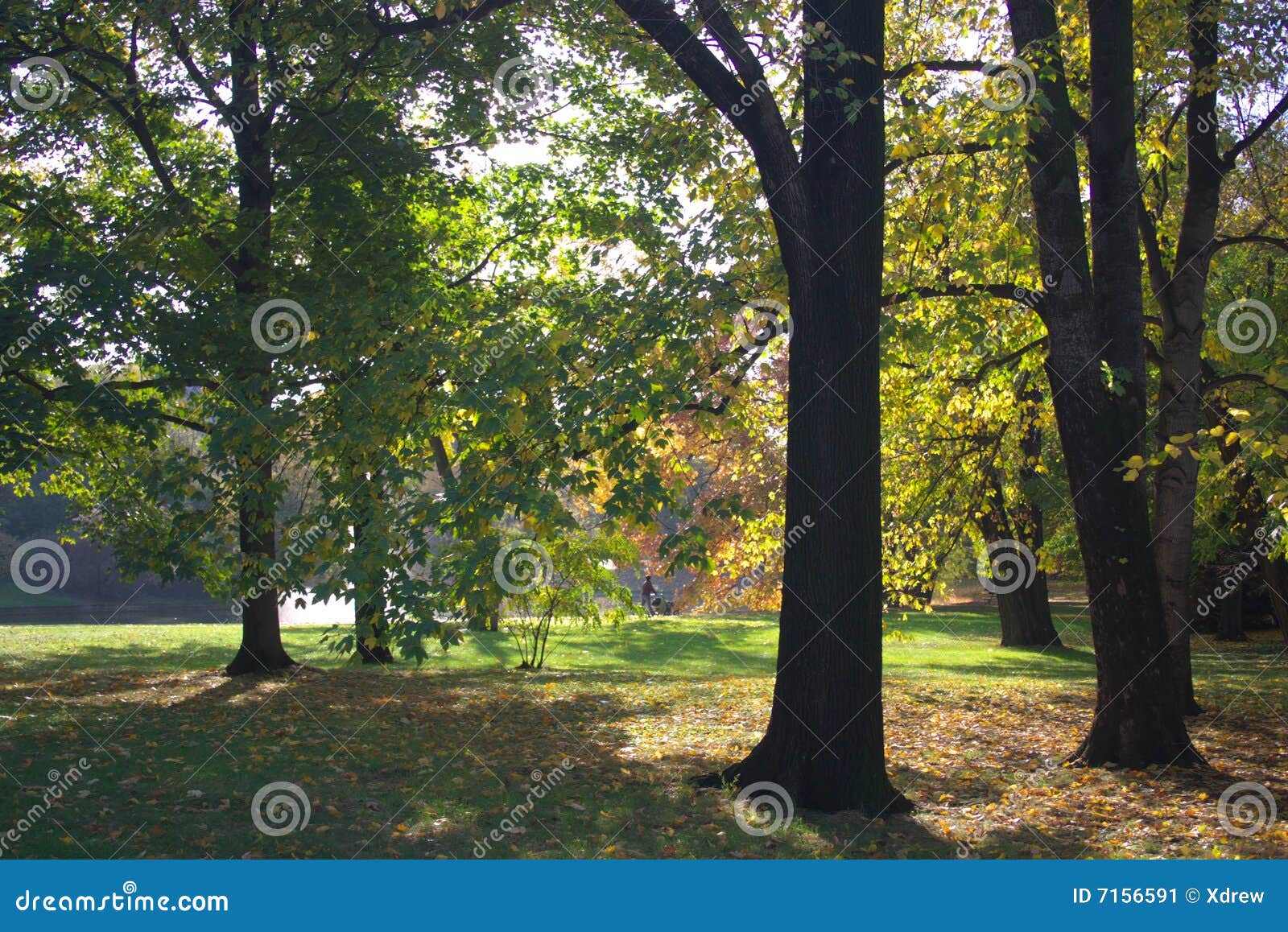 Autumn scene in town park stock image. Image of quiet - 7156591