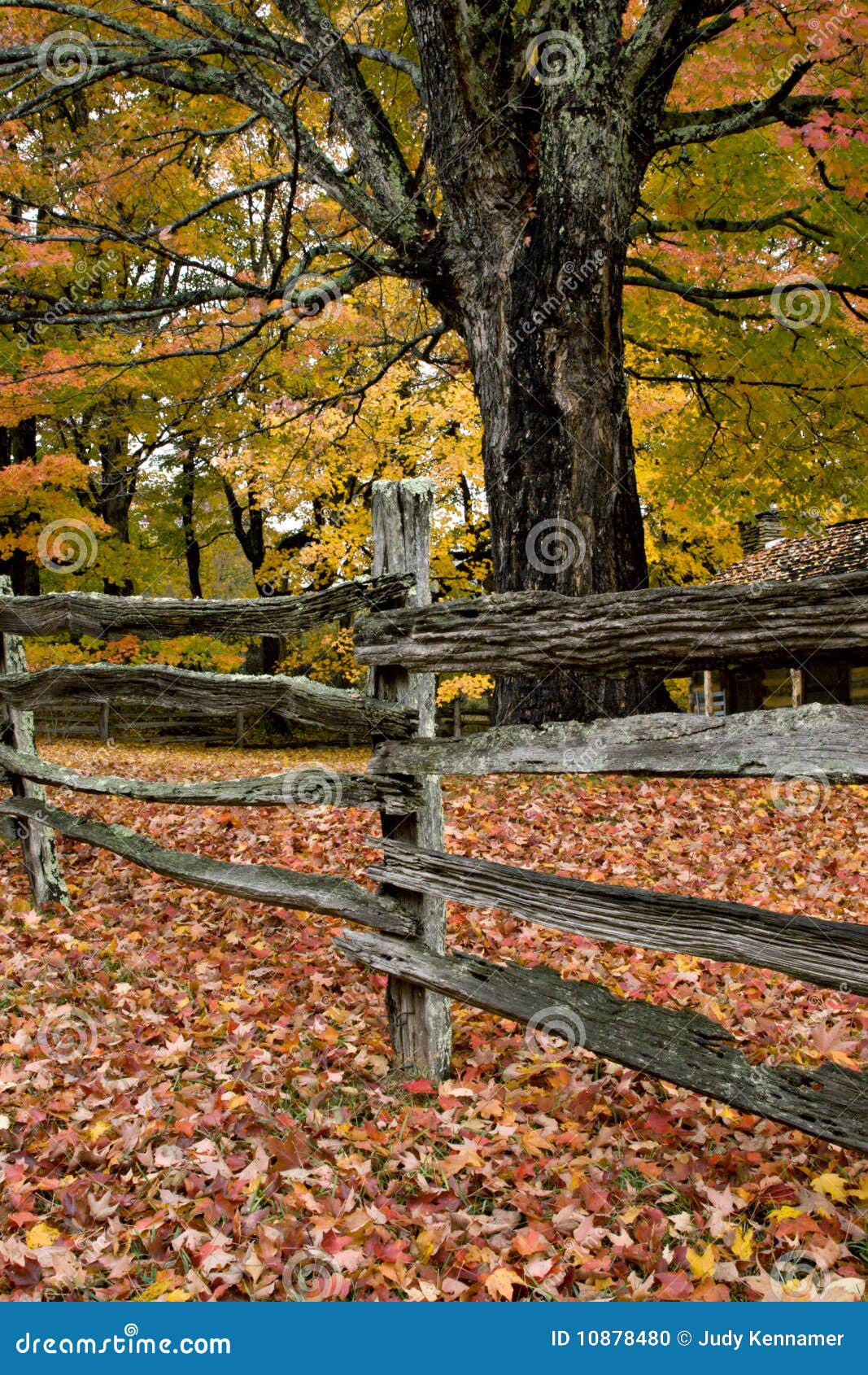 Autumn scene in Virginia stock photo. Image of colors - 10878480