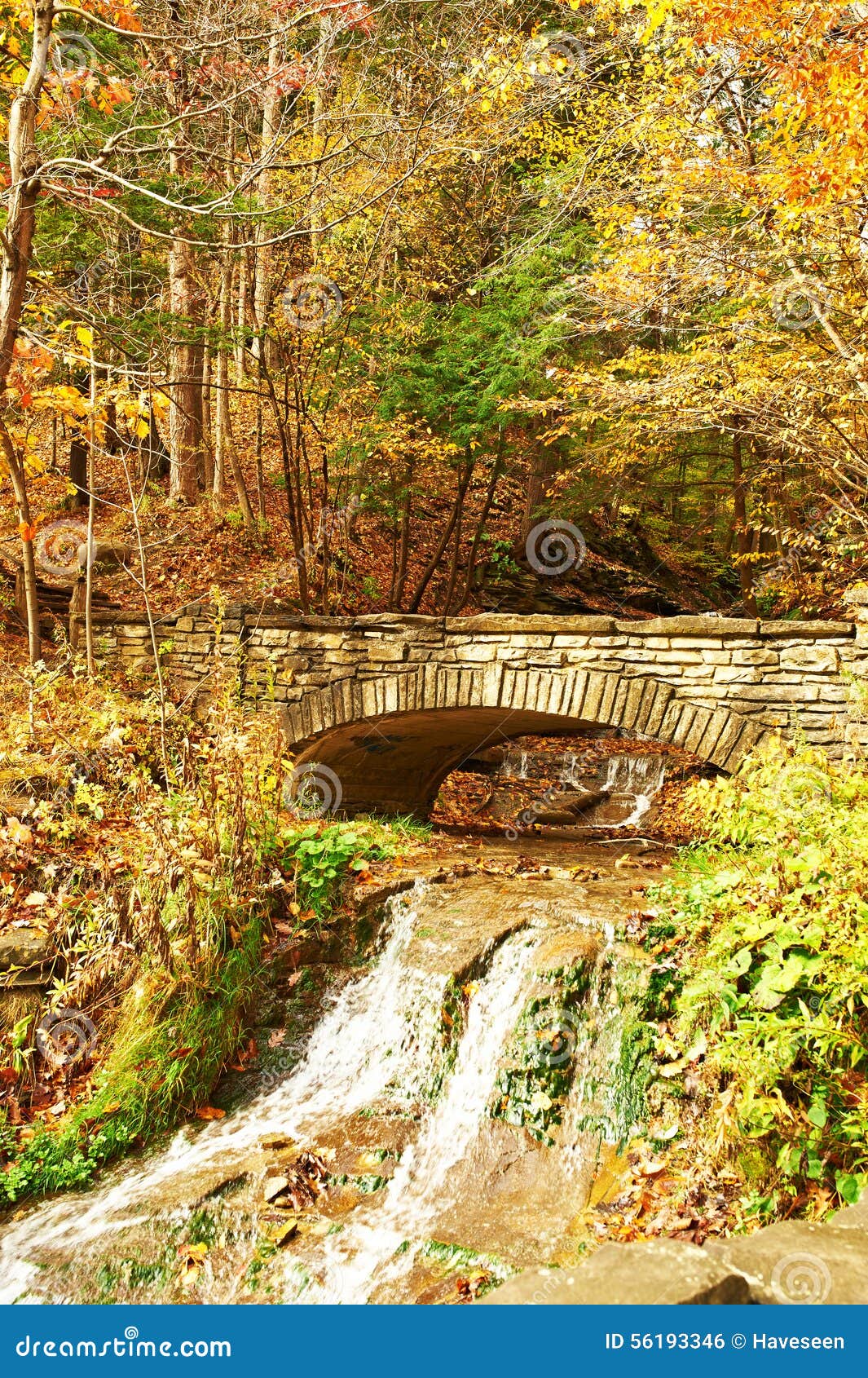 Autumn scene of waterfall stock photo. Image of bridge - 56193346