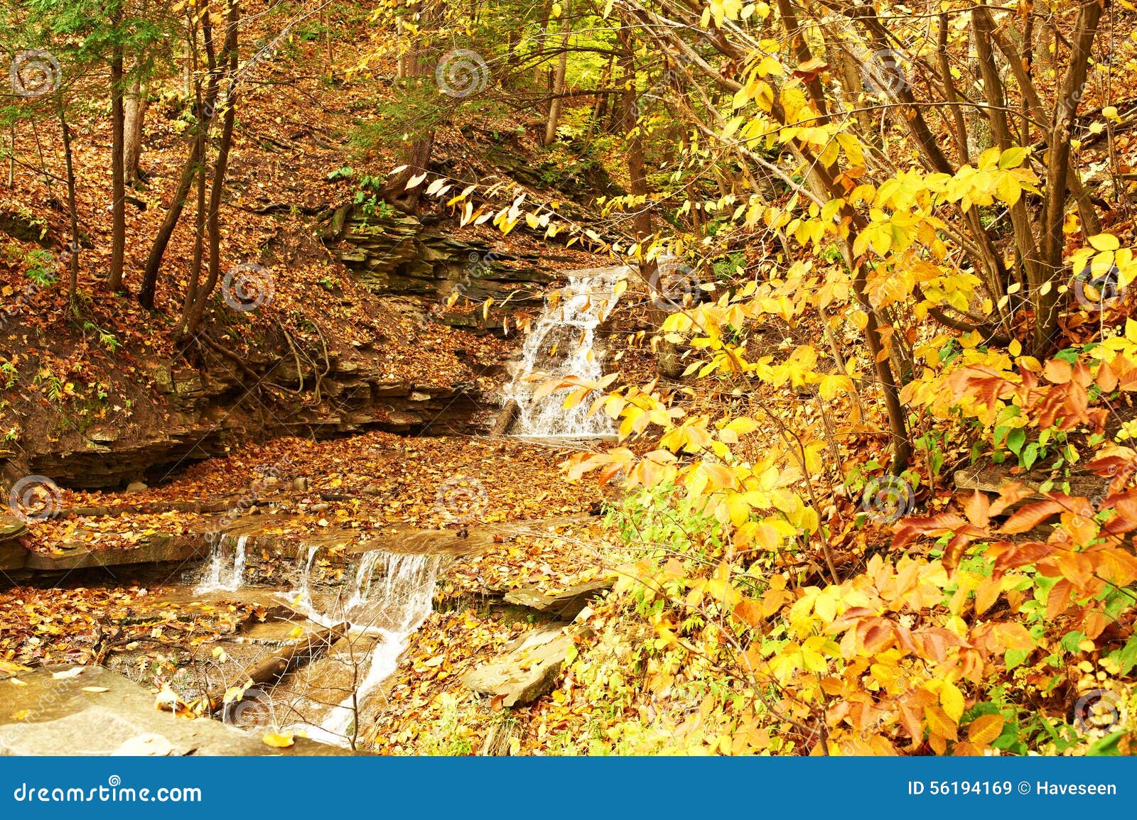 Autumn scene of waterfall stock image. Image of genesee - 56194169