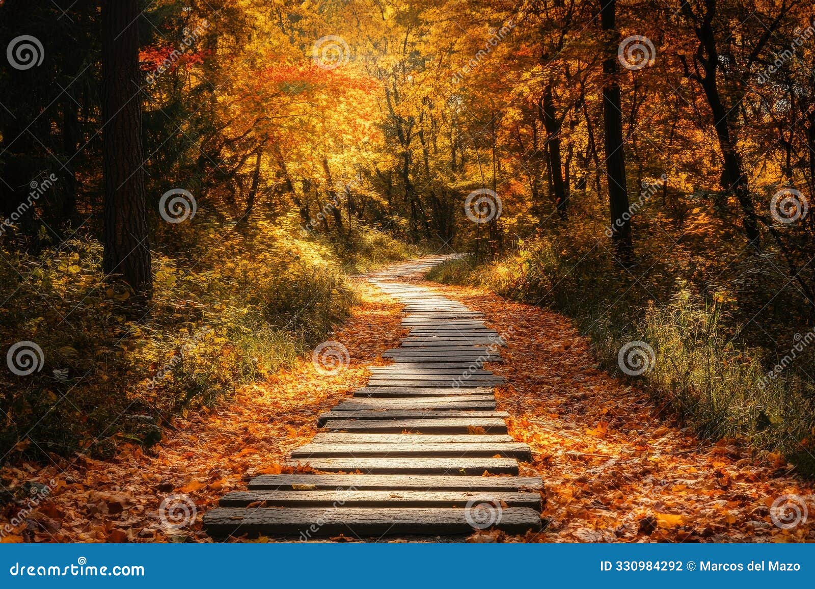 Autumn Scene Of Falling Leaves On The Street, Sunlight Shining Through ...