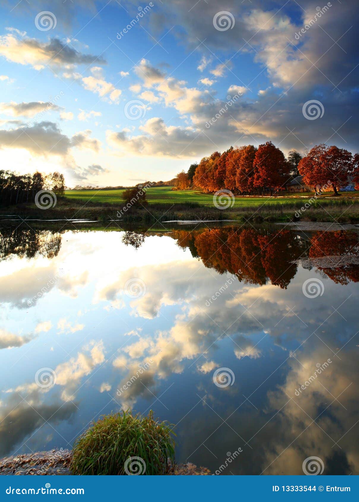 Autumn scenery stock photo. Image of season, meadow, calm - 13333544