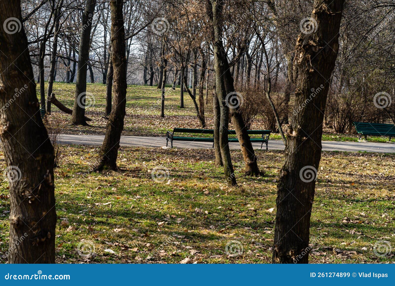 Autumn Scenery with Alley of Fall Leaves Stock Image - Image of ...