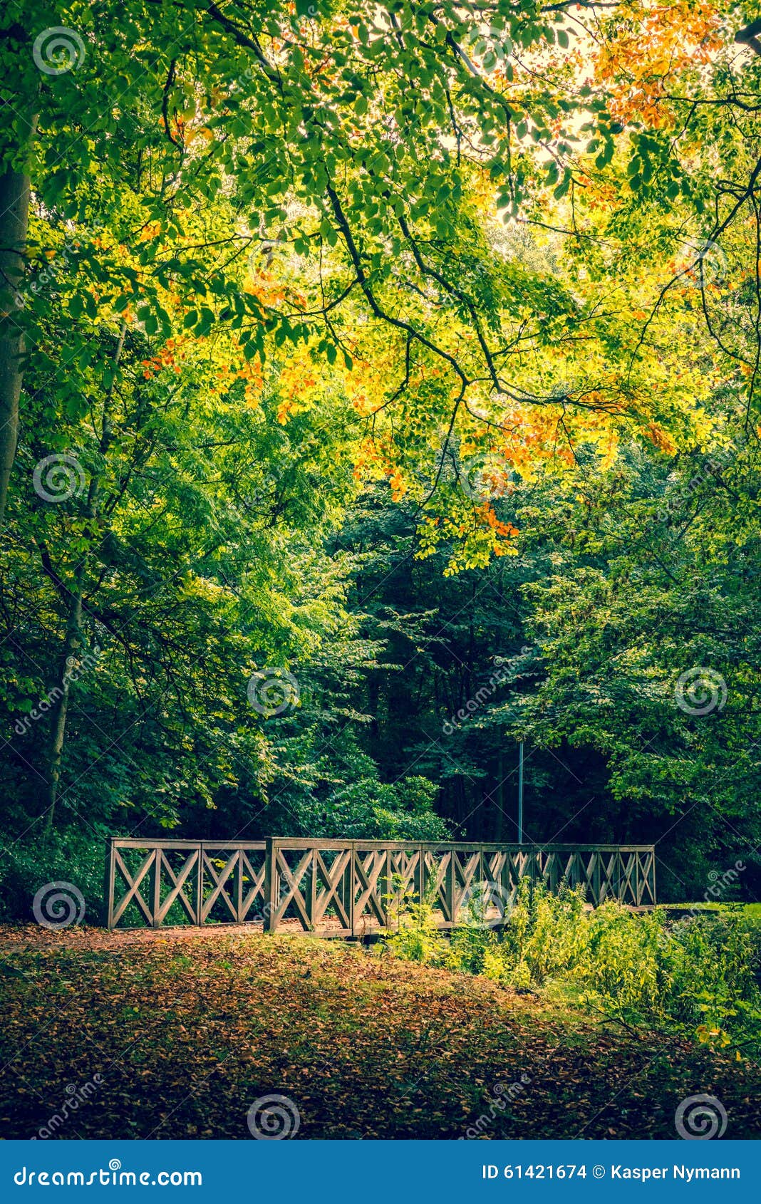 Autumn Scenery with a Bridge Stock Photo - Image of beautiful, color ...
