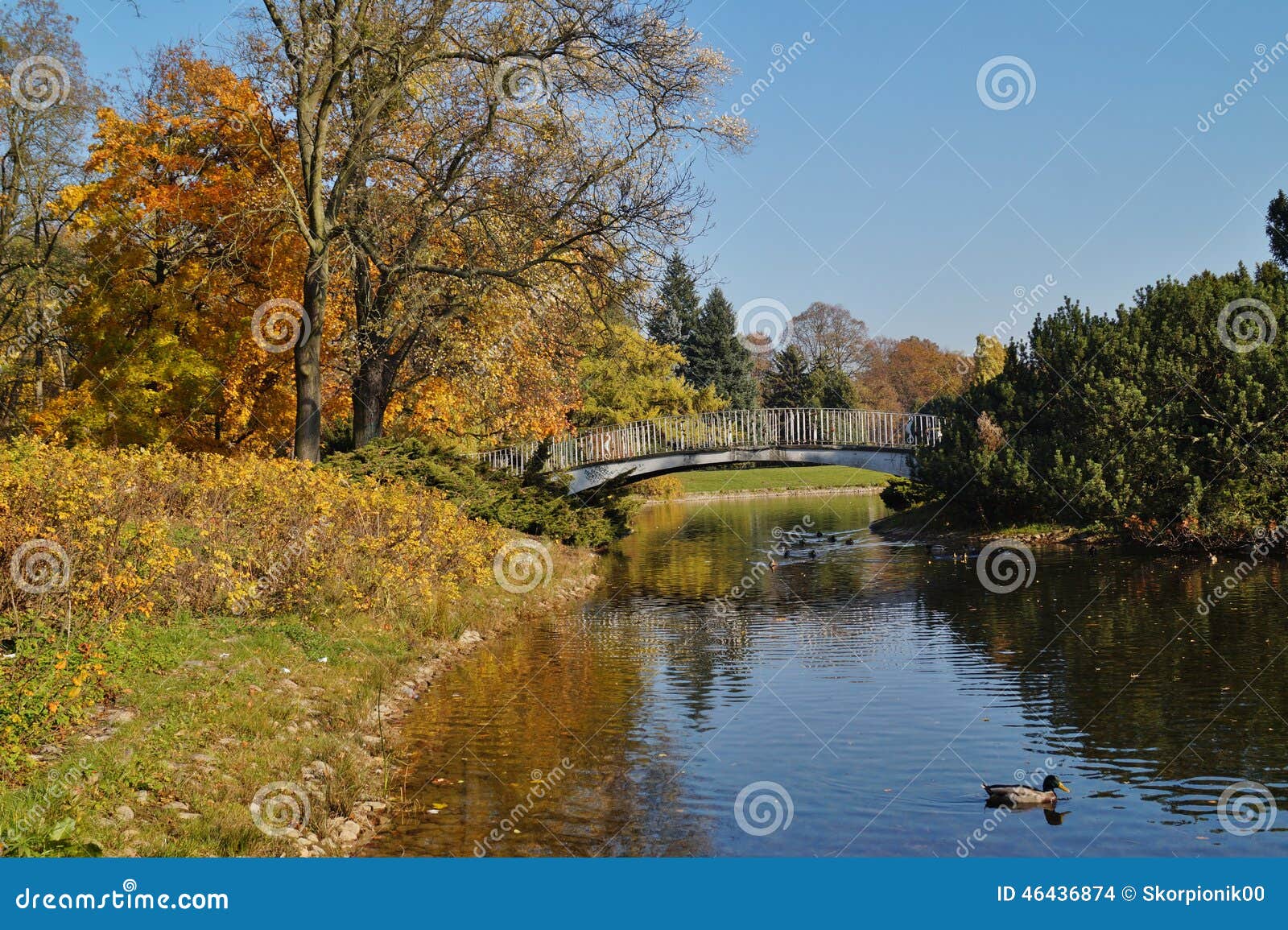 Autumn Scenery - Bridge in the Park Stock Photo - Image of outdoor ...