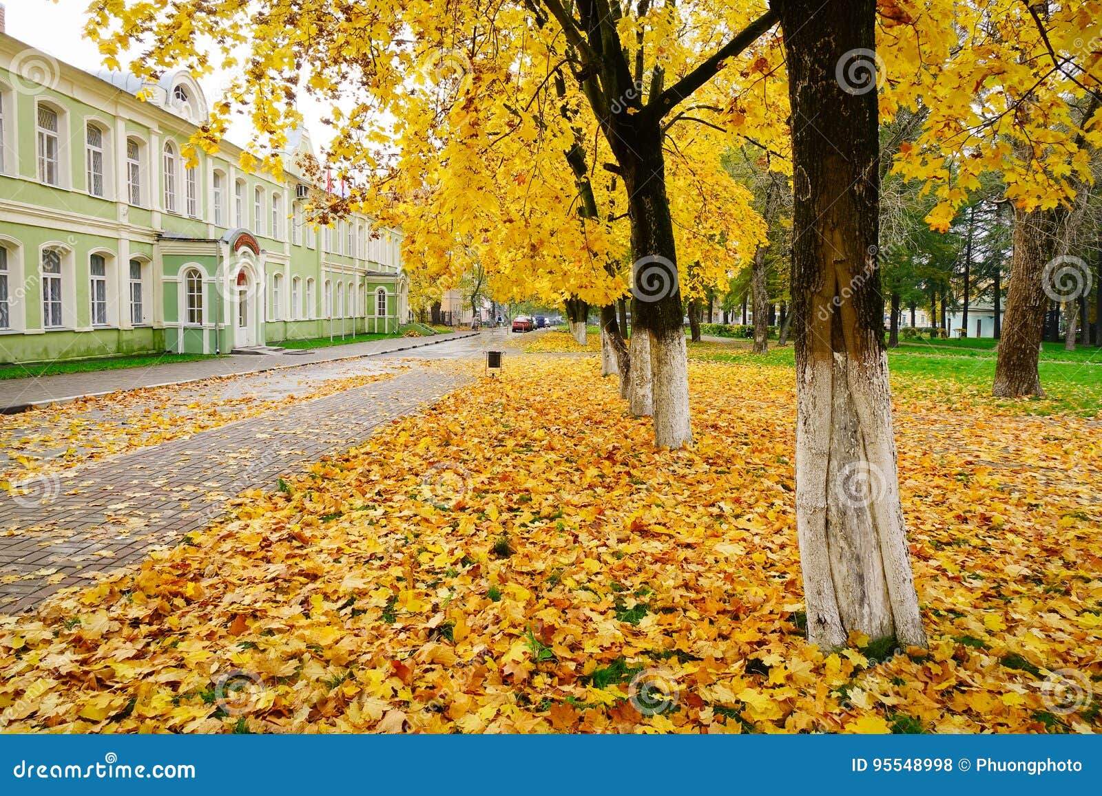 Autumn scenery in Europe stock photo. Image of foliage - 95548998