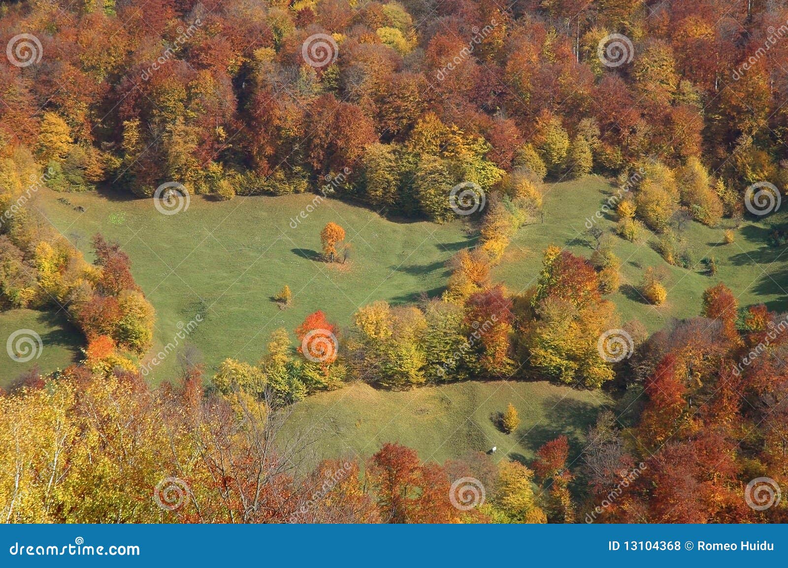Autumn Scenery in the Mountains of Romania Stock Photo - Image of gold ...