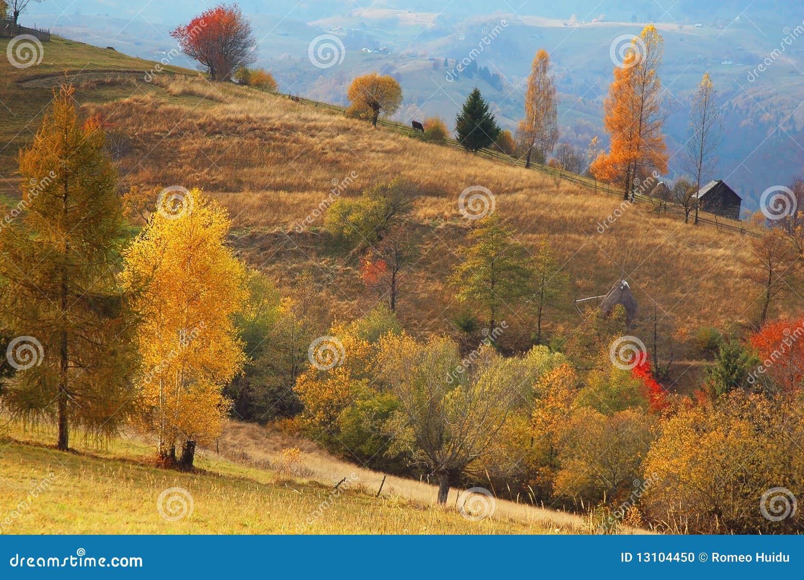 Autumn Scenery in the Mountains of Romania Stock Photo - Image of ...