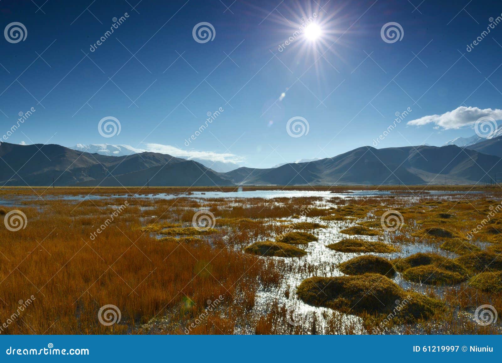 The Autumn Scenery of Pamirs Stock Image - Image of china, tree: 61219997
