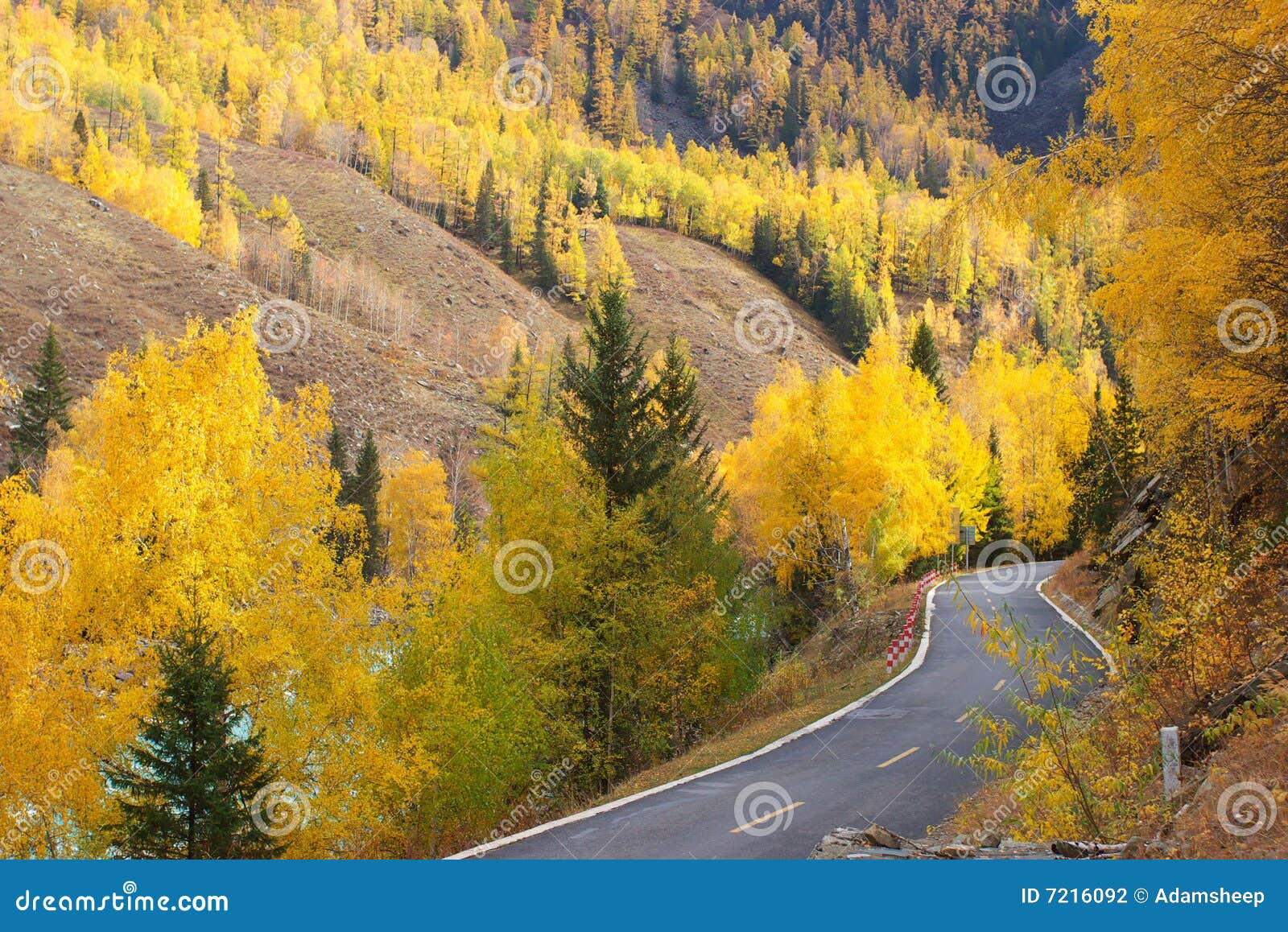 Autumn scenery on roadside stock photo. Image of landscape - 7216092