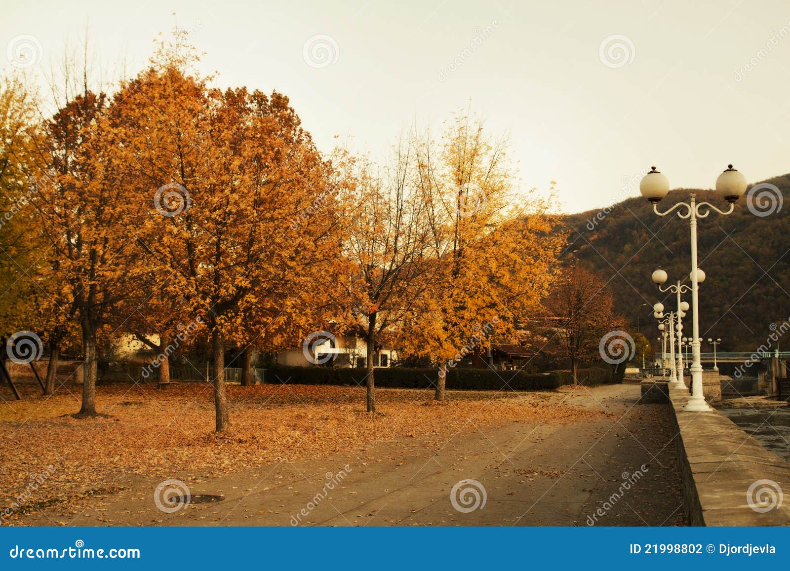 Autumn Scenery in a Town stock photo. Image of tranquil - 21998802