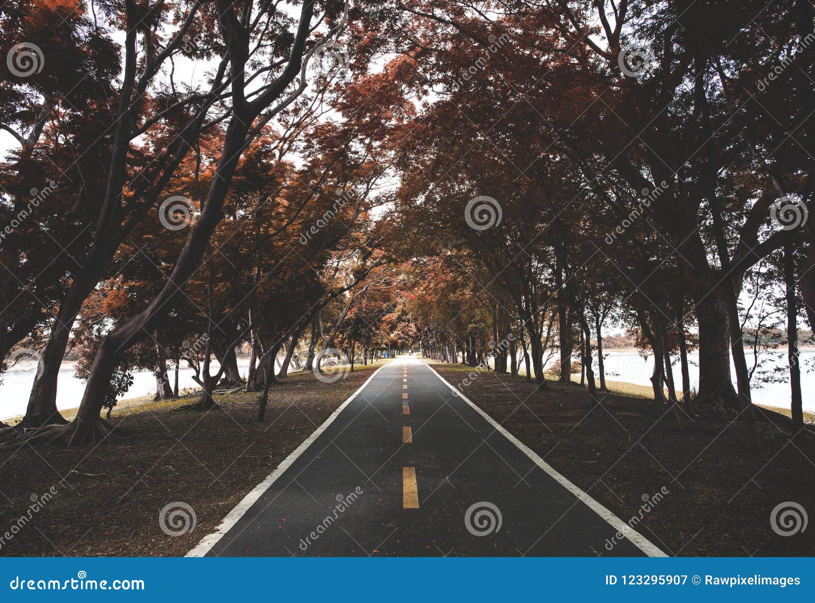 Autumn Scenic of Pathway in the Park Stock Image - Image of walkway ...