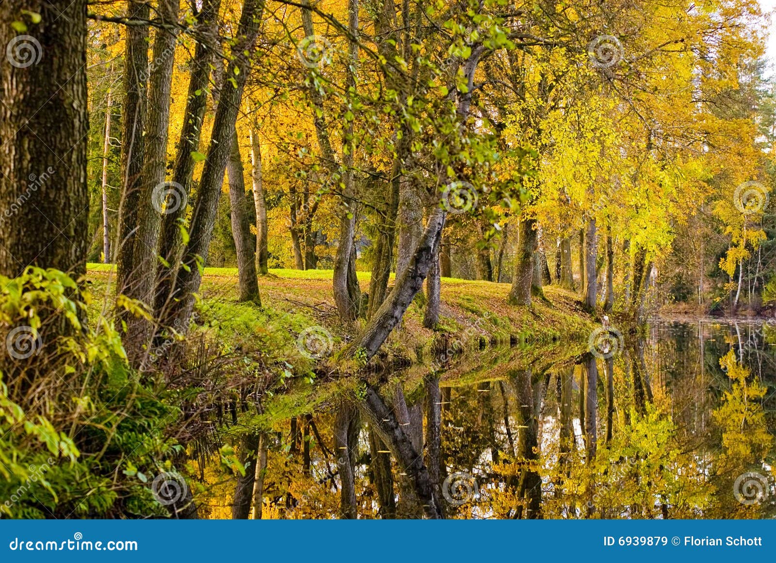 Autumn Sea stock image. Image of green, environment, branch - 6939879