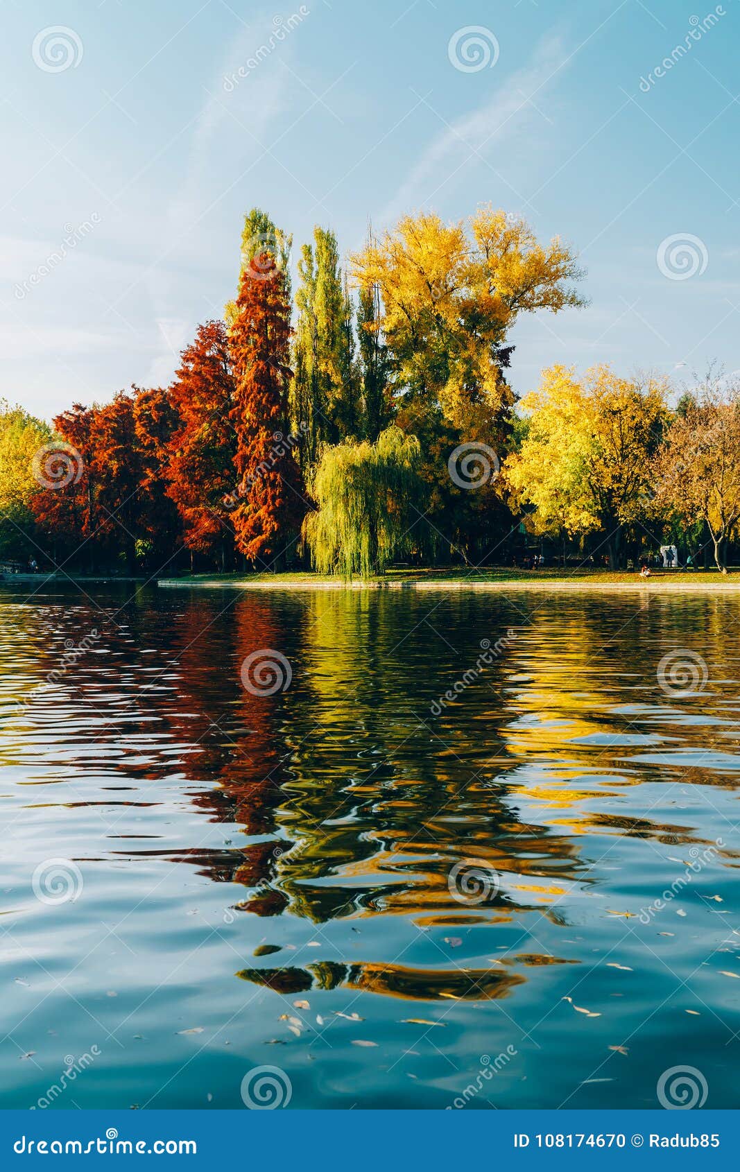 Autumn Season in Bucharest Park Stock Photo - Image of grass, season ...