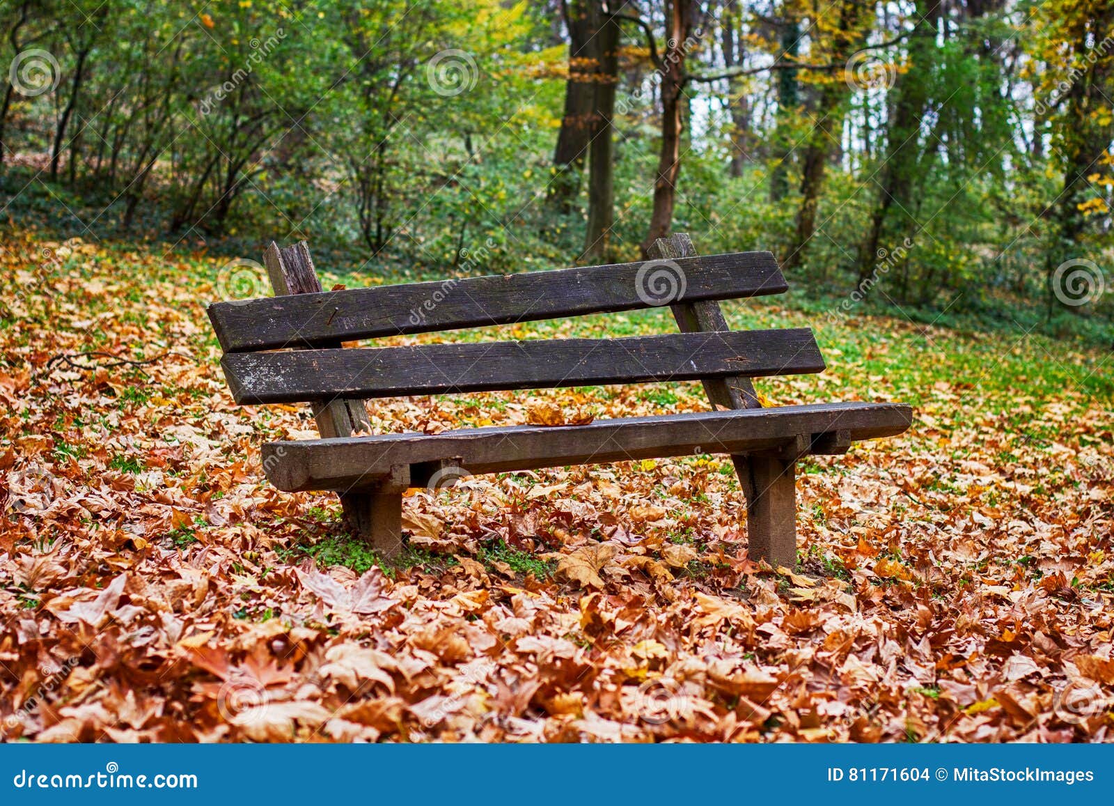 Autumn Season Empty Park Bench Stock Photo - Image of abstract, pattern ...