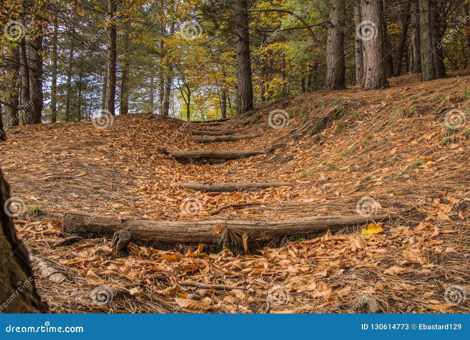 Autumn Season on the Etna Volcano Stock Image - Image of golden, nature ...