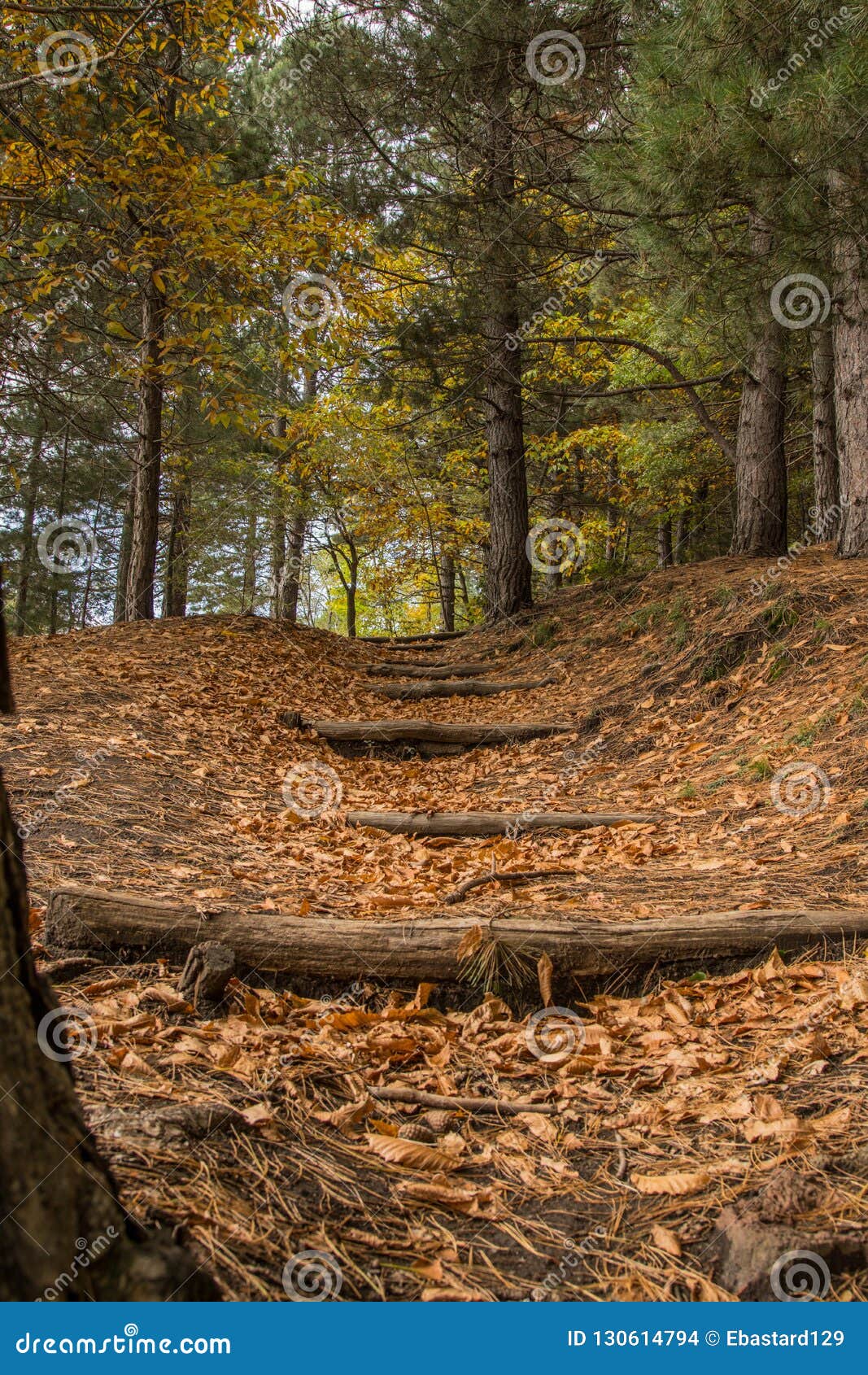Autumn Season on the Etna Volcano Stock Photo - Image of etna, crater ...