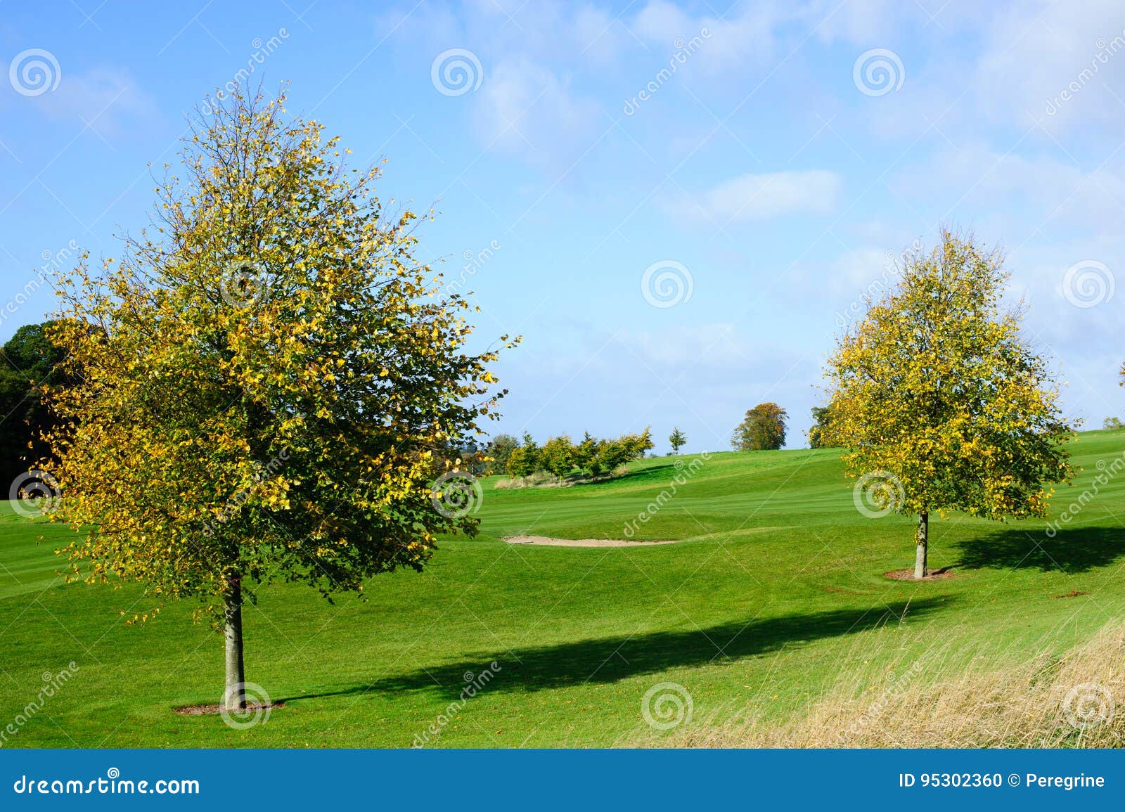 Autumn Season on a Golf Course Stock Photo - Image of golfer ...
