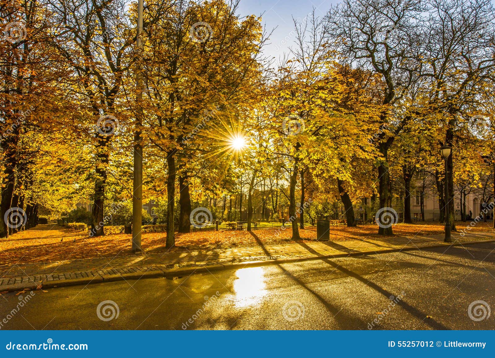 Autumn season in Oslo stock photo. Image of nature, vibrant - 55257012
